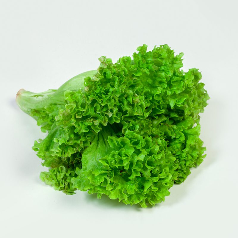 Vegetables - Alion Vegetables & Fruits Co