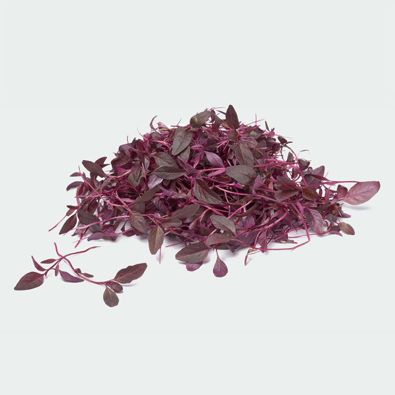 Micros - Alion Vegetables & Fruits Co
