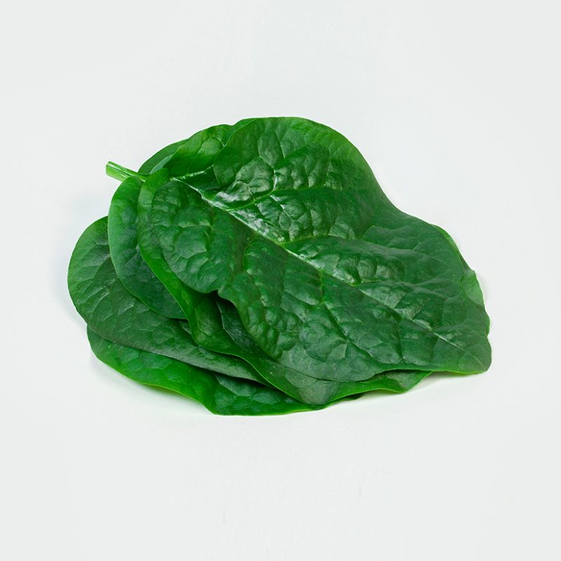Vegetables - Alion Vegetables & Fruits Co