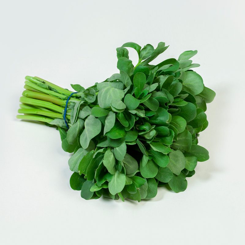 Vegetables - Alion Vegetables & Fruits Co