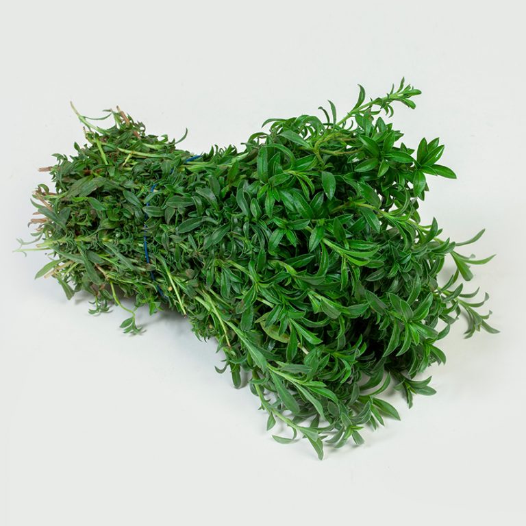 Batch Herbs - Alion Vegetables & Fruits Co