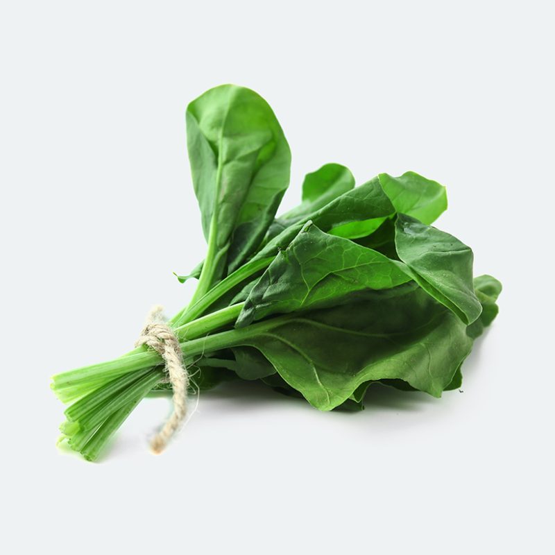 Vegetables - Alion Vegetables & Fruits Co