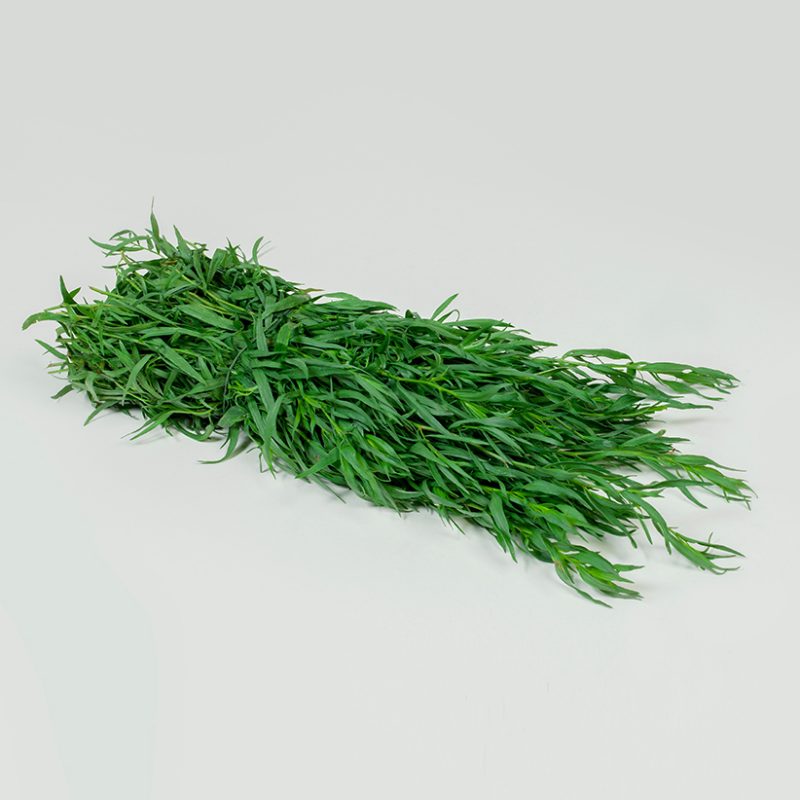 Batch Herbs - Alion Vegetables & Fruits Co