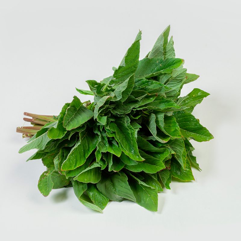 Vegetables - Alion Vegetables & Fruits Co